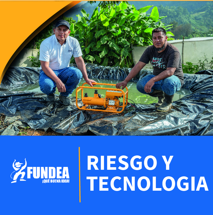 Página Principal | ecampus